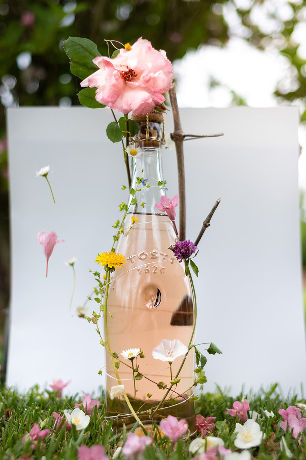 Tosti Prosecco Rosé DOC Brut - lapastina